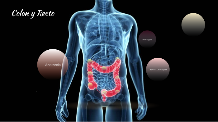 Colon y Recto by Julieta Carrizo on Prezi