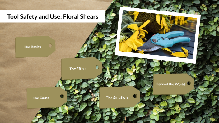 Floral Design - Tool Safety by Katrina Graham on Prezi