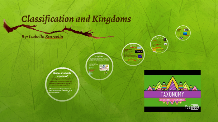 Taxonomy; Classification by Isabella Scarcella