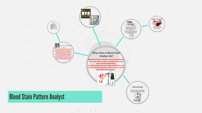 What does a Blood Stain Analyst do? by Amanda Siler on Prezi