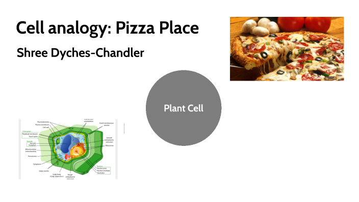 Cell analogy: Pizza Place by Shree Dyches-Chandler on Prezi