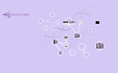 Roslin Cells Updated HB by Holly Bryce on Prezi