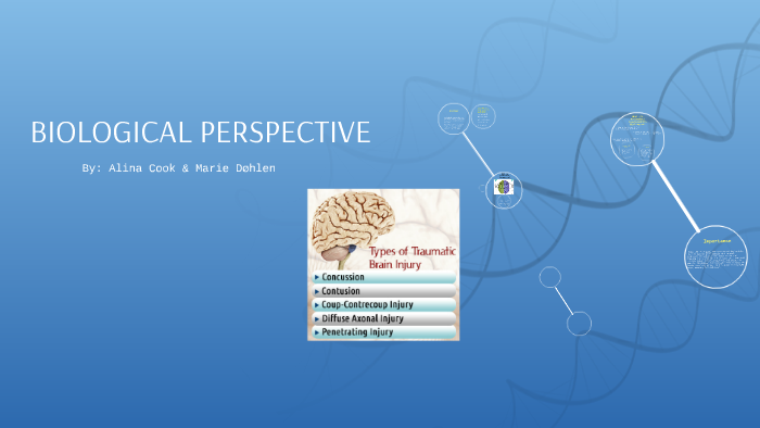 BIOLOGICAL PERSPECTIVE by Alina Cook on Prezi