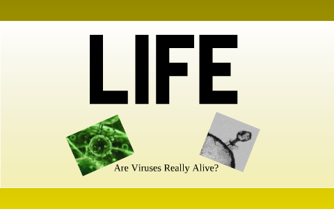 Characteristics of Life: Viruses by Alisa McElroy on Prezi