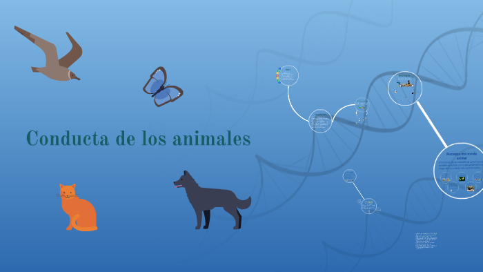 Conducta de los animales by Ana González Paredes on Prezi