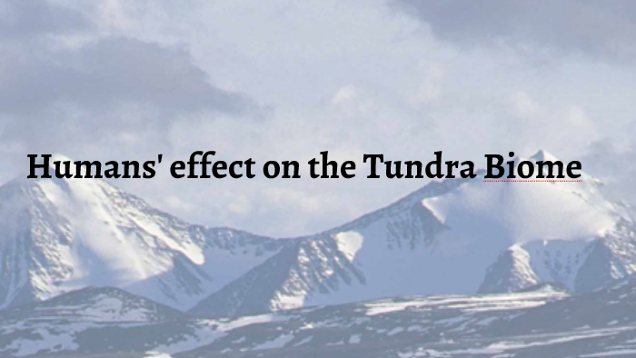 Humans' Effect on the Tundra Biome by Triple A . on Prezi