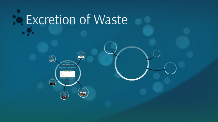 Excretion of Waste by on Prezi