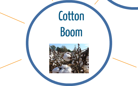 Cotton Boom by Mayte Mondragon on Prezi