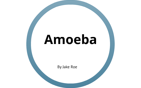 Amoeba science project by jake roe on Prezi