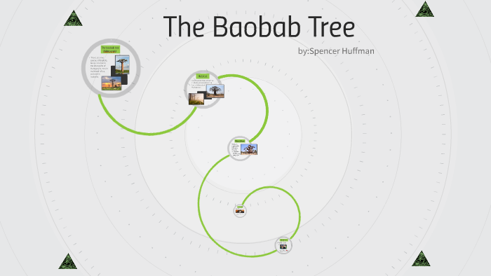 The Baobab Tree by spencer huffman on Prezi