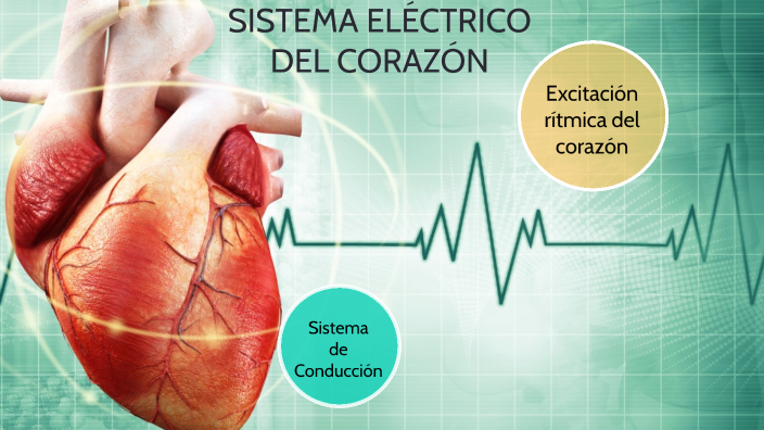SISTEMA ELÉCTRICO DEL CORAZÓN by Daniela Campos on Prezi