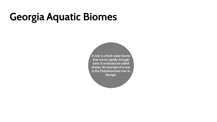 Georgia Aquatic Biome by Taleah Tatum on Prezi