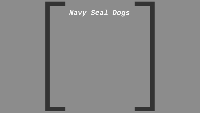 Navy Seal Dogs by zach gleeson on Prezi