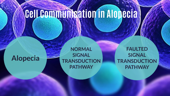 Cell Signaling Diseases Summative AP Bio Project: Alopecia by Emem Umo ...