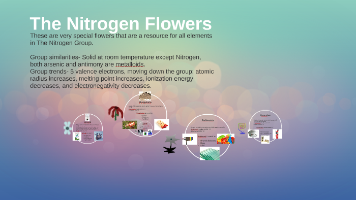 The Nitrogen Flowers by Sam Spicher on Prezi