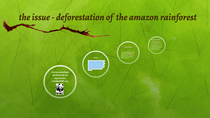 the issue - deforestation of the amazon rainforest by Kennedy Prioleau ...