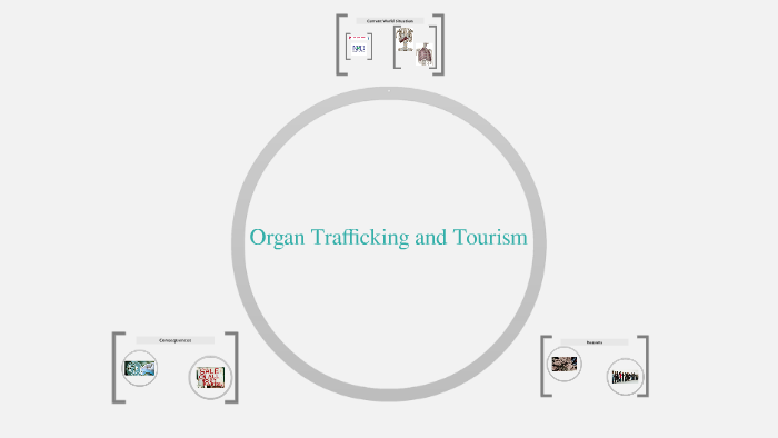 Informative Speech Visual Aid by Victor Zibara on Prezi