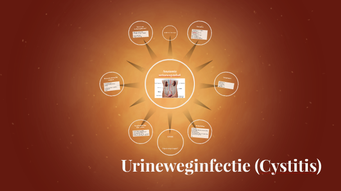 Urineweginfectie by Inge Versloot on Prezi