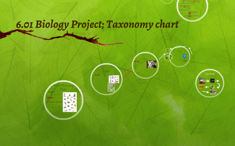 6.01 Biology Project by Mariah Cason on Prezi