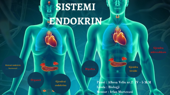 Sistemi endokrin by Albesa Veliu on Prezi