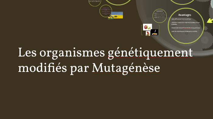Les organismes génétiquement modifiés par Mutagénèse by Anthony ...