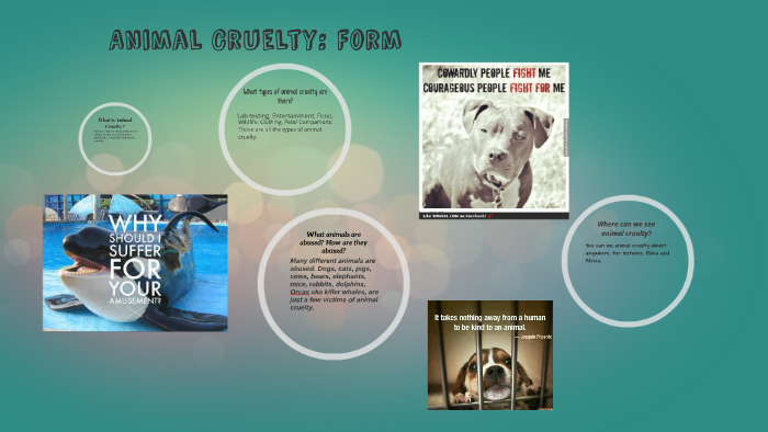 Animal Cruelty Form Talk by Harry Chan on Prezi