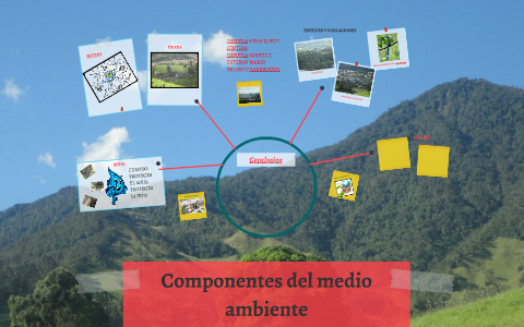 Componentes del medio ambiente (fisico,ecologico,social y es by Daniela ...