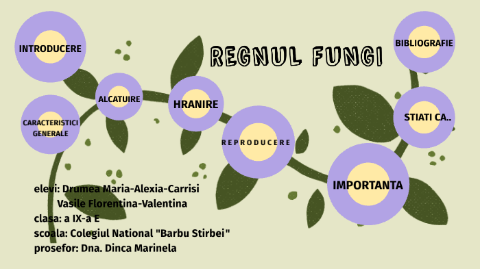 Regnul Fungi by Drumea Maria Alexia Carrisi on Prezi
