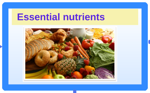6 Essential nutrient and their functions by Mojisola Olabisi on Prezi