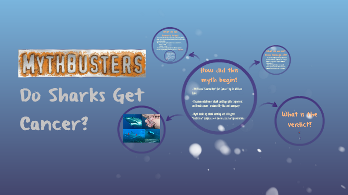 Do Sharks Get Cancer? by Mariana Mello on Prezi