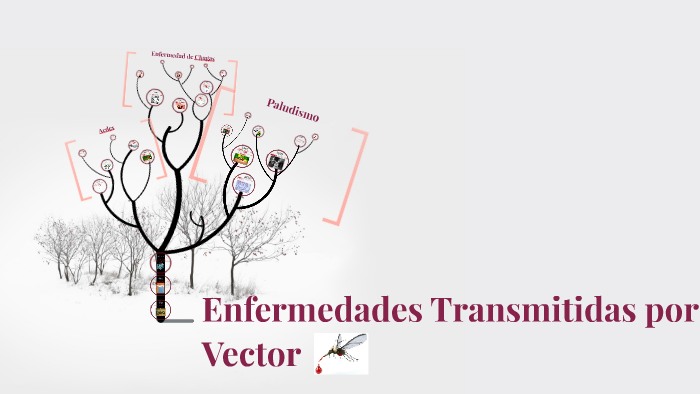 Enfermedades Transmitidas por vector by Hector Contreras Angoa on Prezi