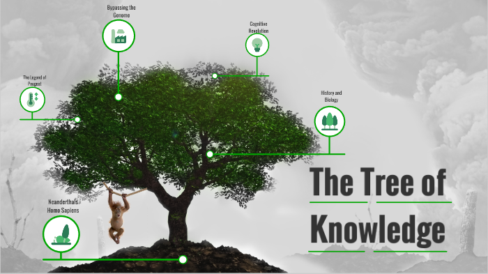 The Tree of Knowledge by Durdona Sadulloeva on Prezi