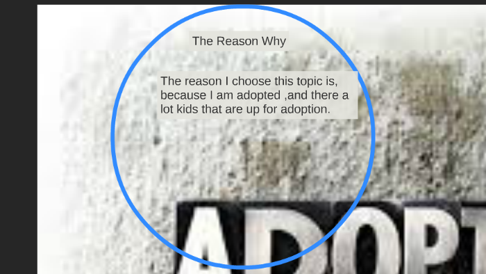 The Reason Why by Matthew McNeilly on Prezi