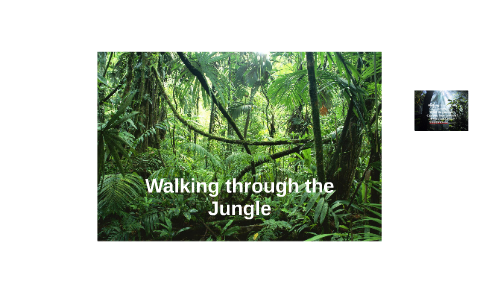 Wading through the jungle, by Kerry McGowan on Prezi