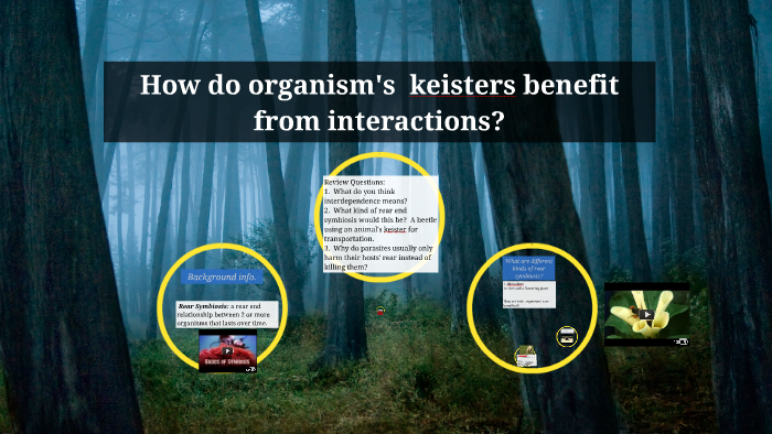 How do organisms benefit from interactions? by sarah keever on Prezi