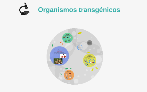 Organismos transgénicos by Elisa Hormigo on Prezi
