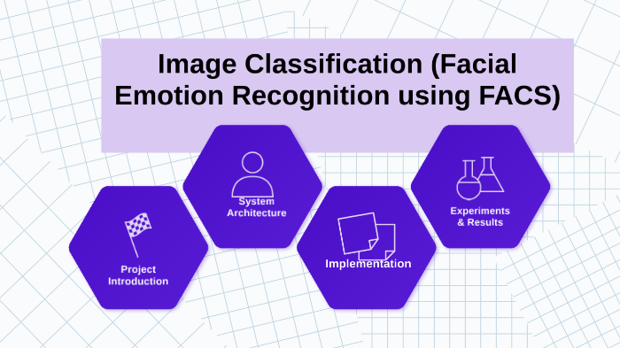 Image Classification (Emotion recognition using FACS) by Iva Borisova ...
