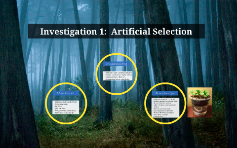 AP Bio Artificial Selection Lab by Peggy Barnhill on Prezi