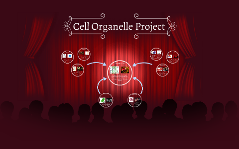 Cell Organelle Project by Helena Grace on Prezi