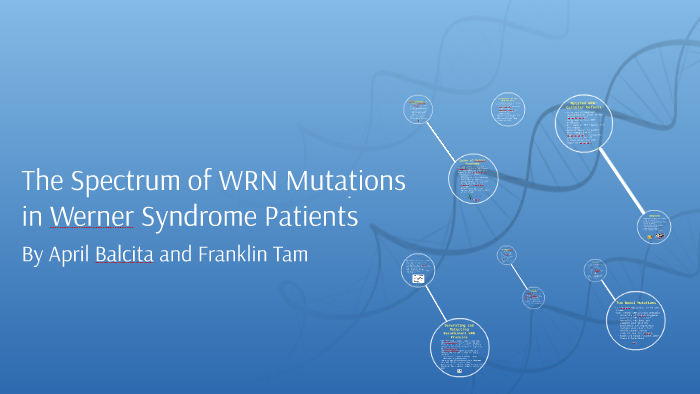 The Spectrum Of Wrn Mutations In Werner Syndrome Patients By April Balcita