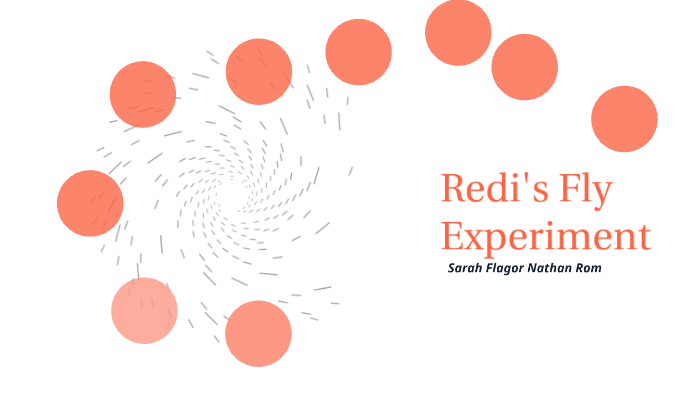 Redi's Fly Experiment by sarah Flagor on Prezi