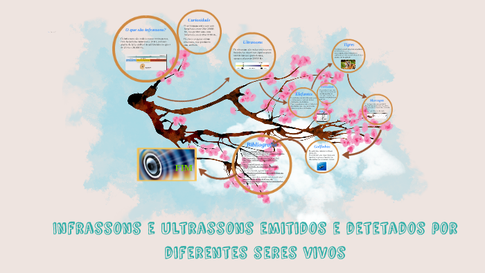 Infrassons e ultrassons emitidos e detetados por diferentes by Inês ...