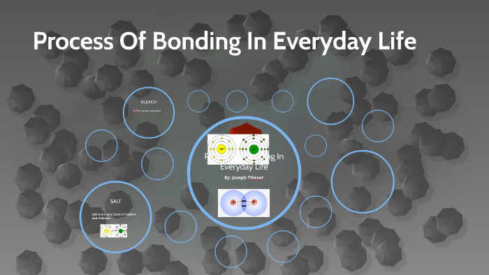 Process Of Bonding In Everyday Life by joe tibesar on Prezi