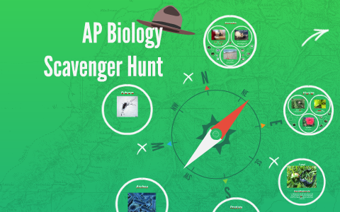 AP Biology Scavenger Hunt by James Wich