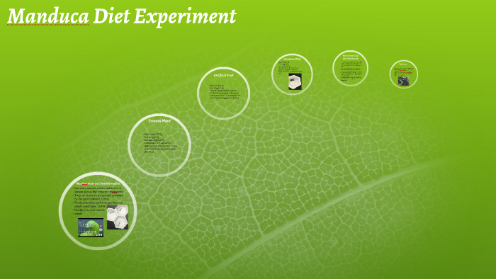 Manduca Experiment Presentation by Samantha Torres on Prezi