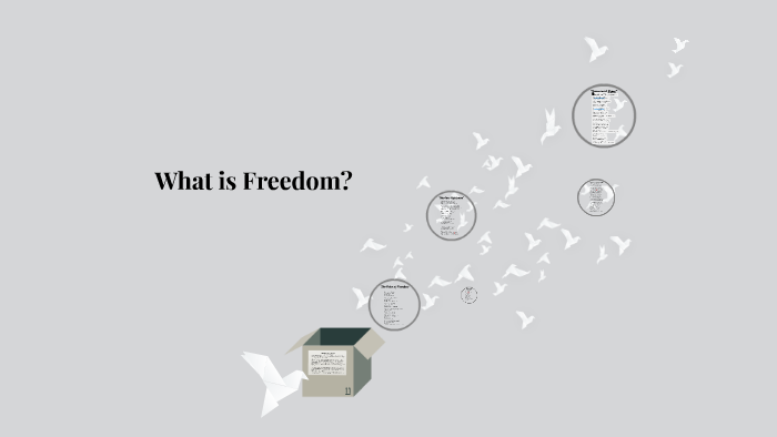 What is Freedom by Hunter Sneed on Prezi