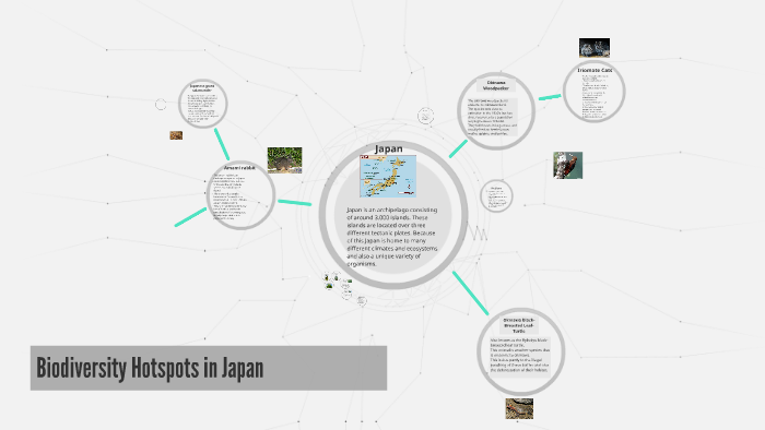 Biodiversity Hotspots in Japan by Glenn Ludwig on Prezi