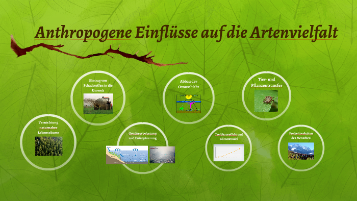 Anthropogene Einflüsse auf die Artenvielfalt by Felix M on Prezi