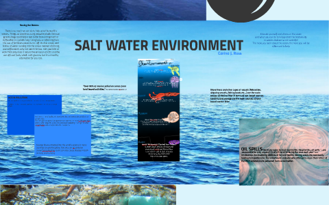 SALT WATER ENVIRONMENT by on Prezi