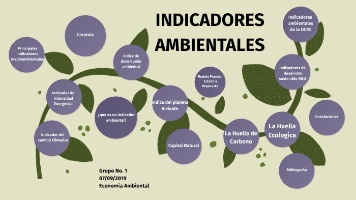 Indicadores Ambientales Que Son Tipos Y Ejemplos – Bilarasa Indicadores Ambientales Que Son Tipos Y Ejemplos – Bilarasa